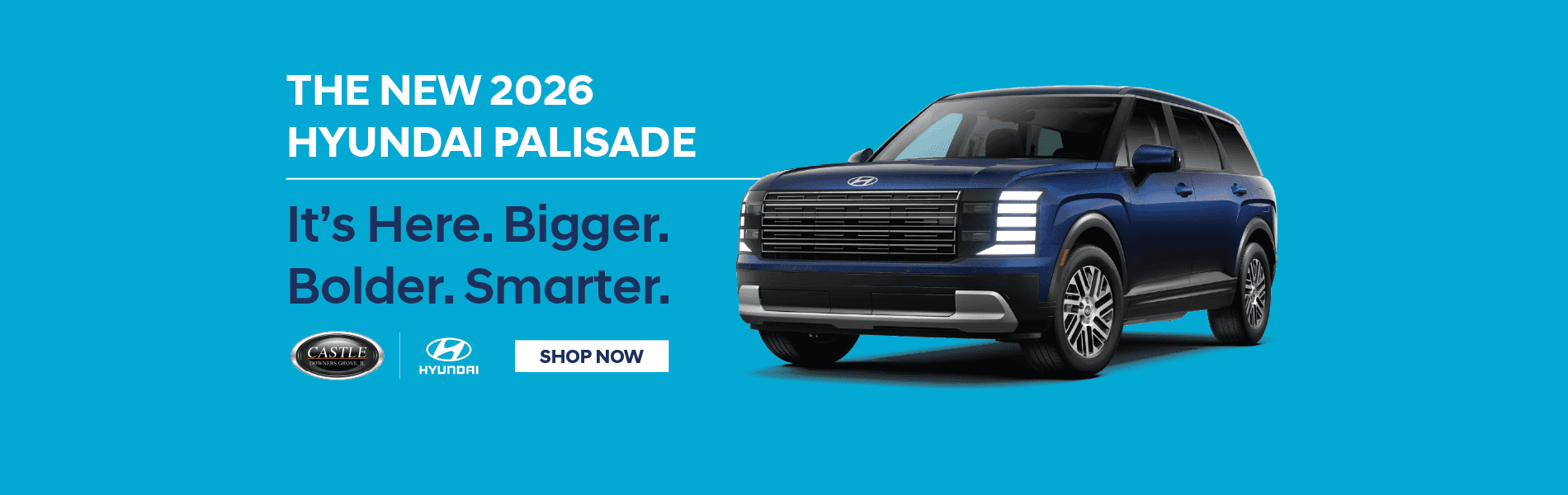 Castle Hyundai Downers Grove | Hyundai Dealer Near Aurora, IL