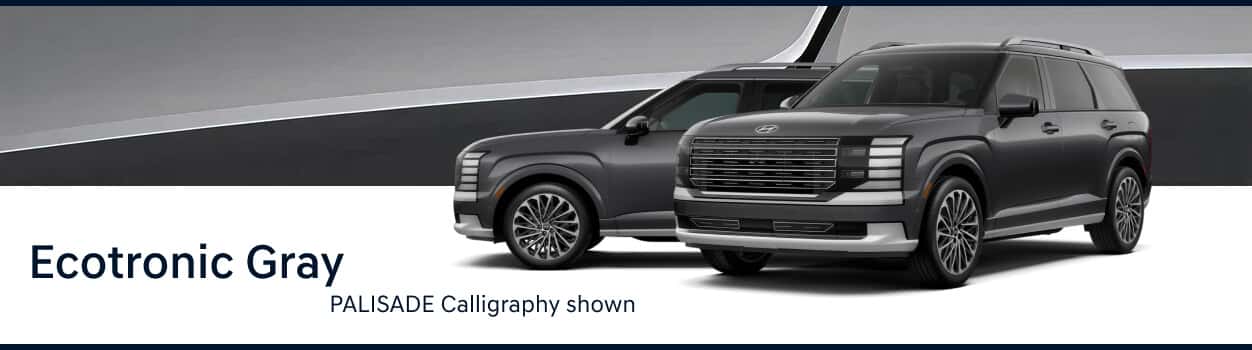 2026 Hyundai Palisade Colors: Interior & Exterior (With Pictures)