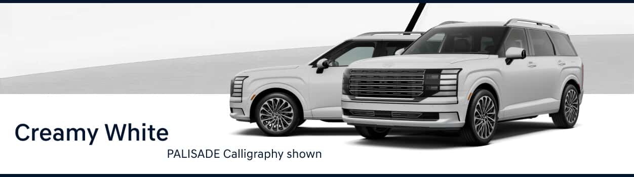 2026 Hyundai Palisade Colors: Interior & Exterior (With Pictures)