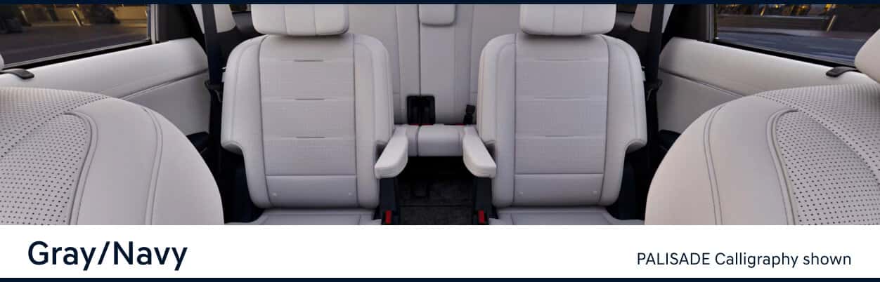 2026 Hyundai Palisade Colors: Interior & Exterior (With Pictures)