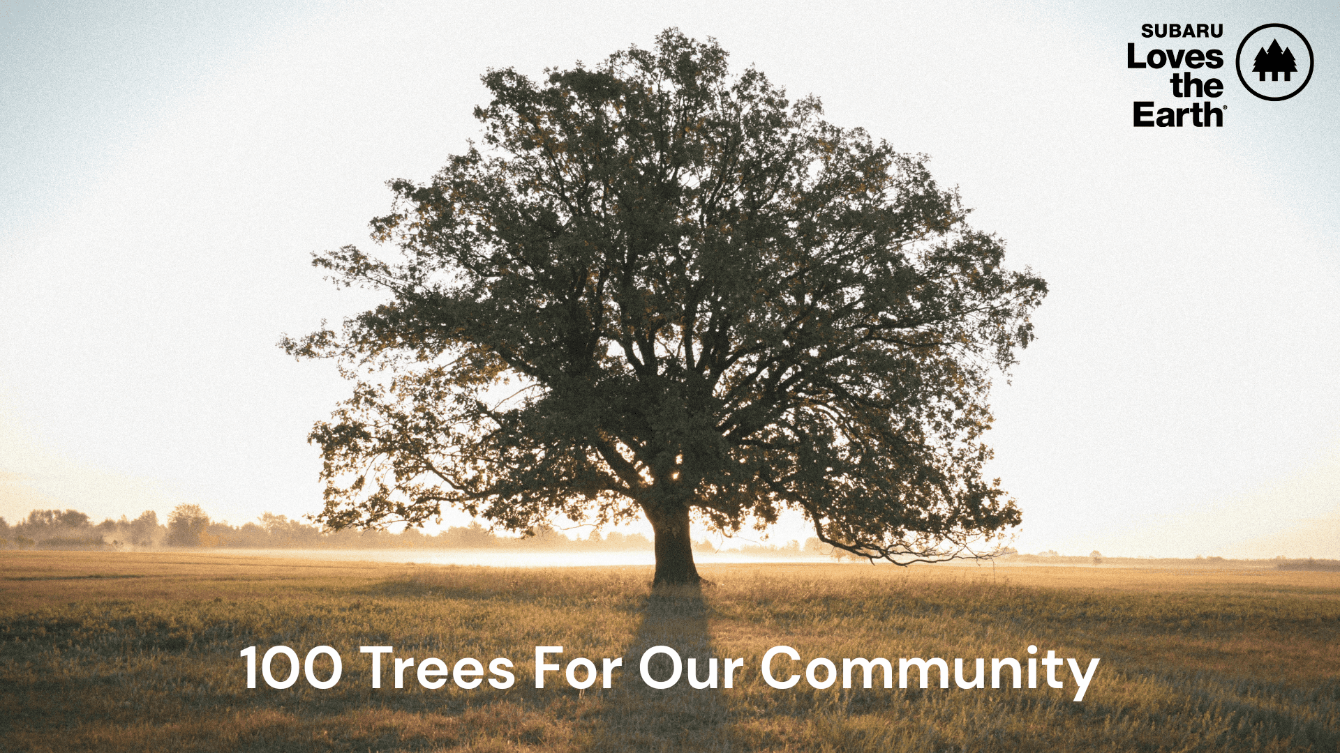 Subaru Loves the Earth - 100 Trees For Our Community | Eide Subaru