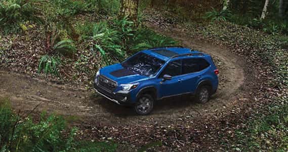 2025 Subaru Forester Wilderness in Albuquerque NM: Off-Road Ready SUV ...