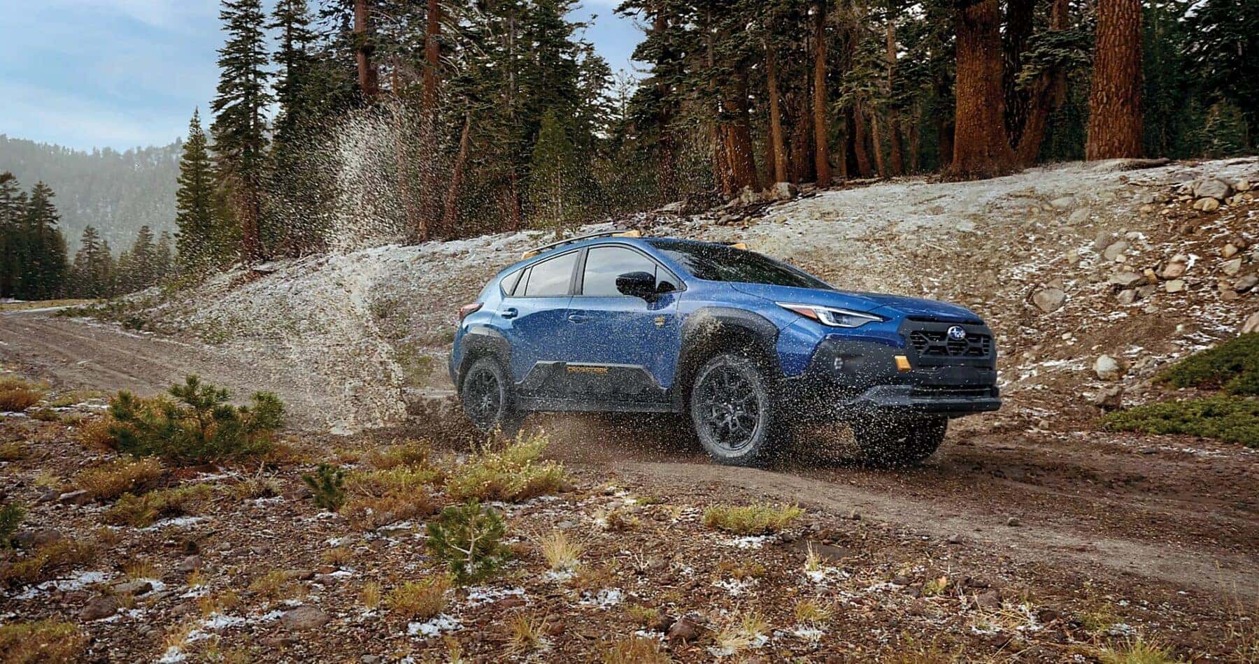 Why the Subaru Crosstrek Wilderness Stands Out | Hello Subaru of Temecula
