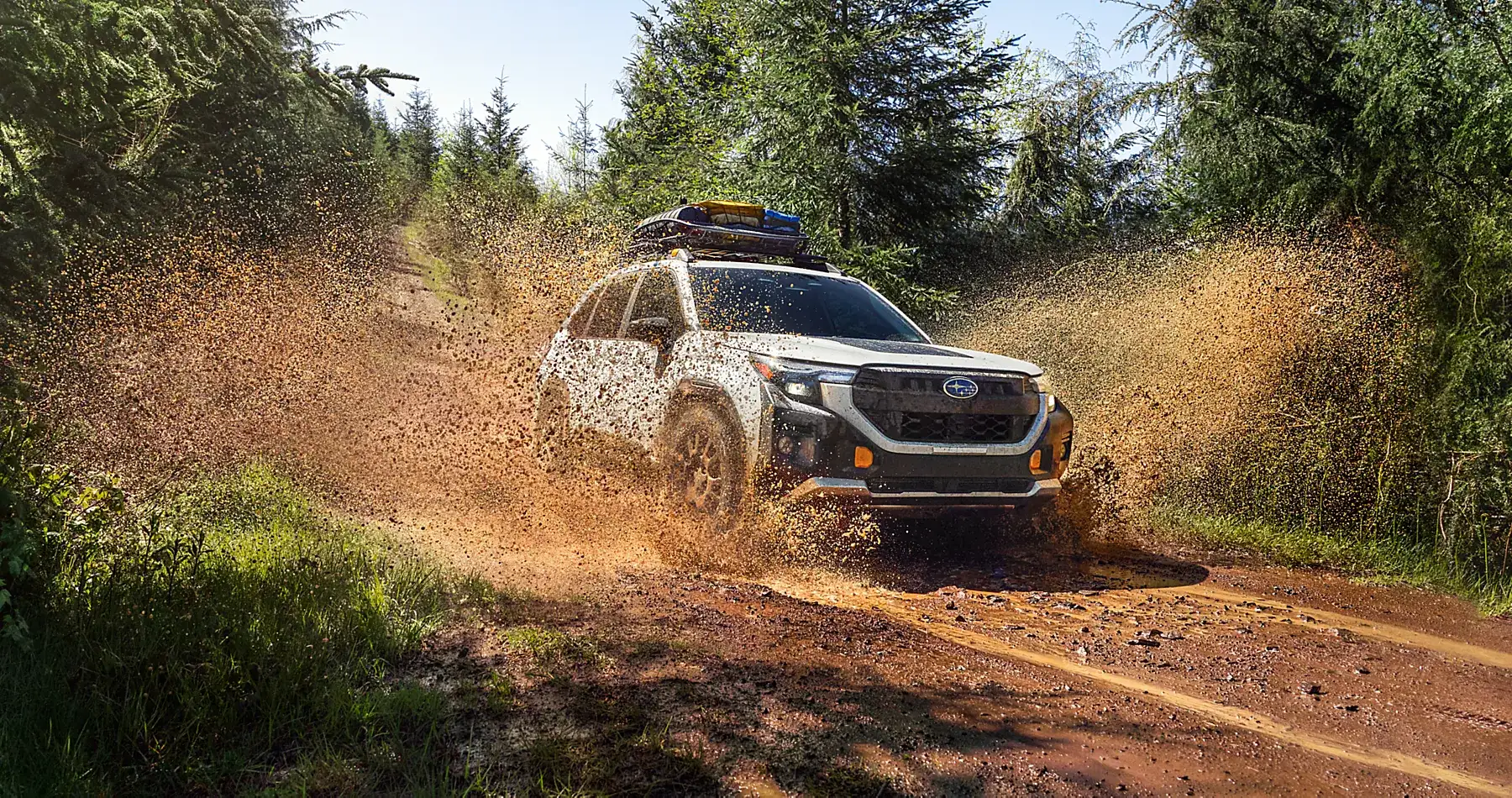 Introducing the 2026 Subaru Forester Wilderness Edition | Hello Subaru ...