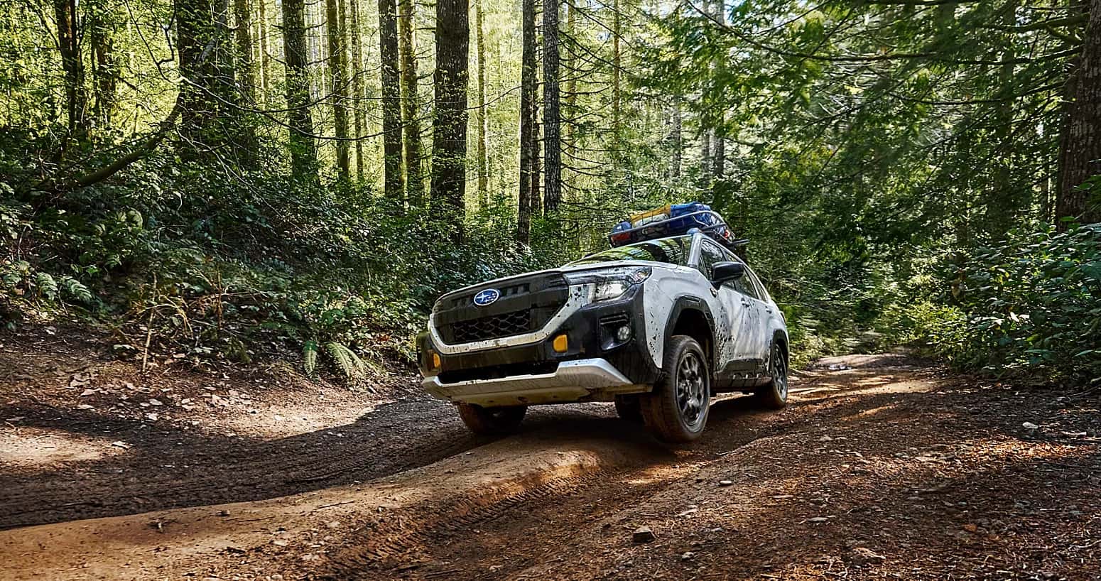 Subaru Forester Wilderness: The Adventure SUV Leader | Hello Subaru of ...