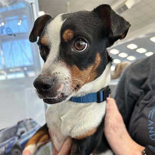 2023 Share the Love Wrap Up at Heuberger Motors | Heuberger Subaru