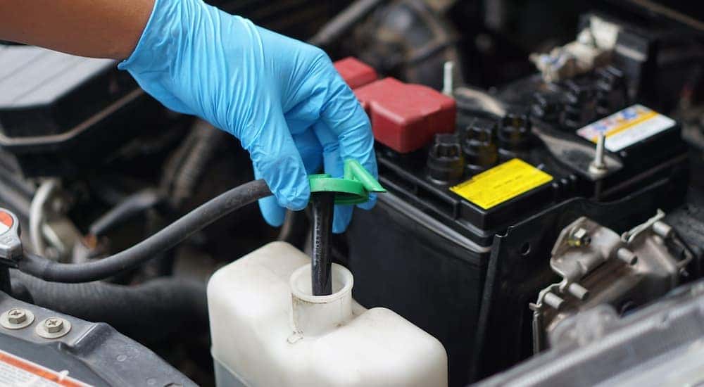 What Are the Fluids in Your Vehicle and What Do They Do?