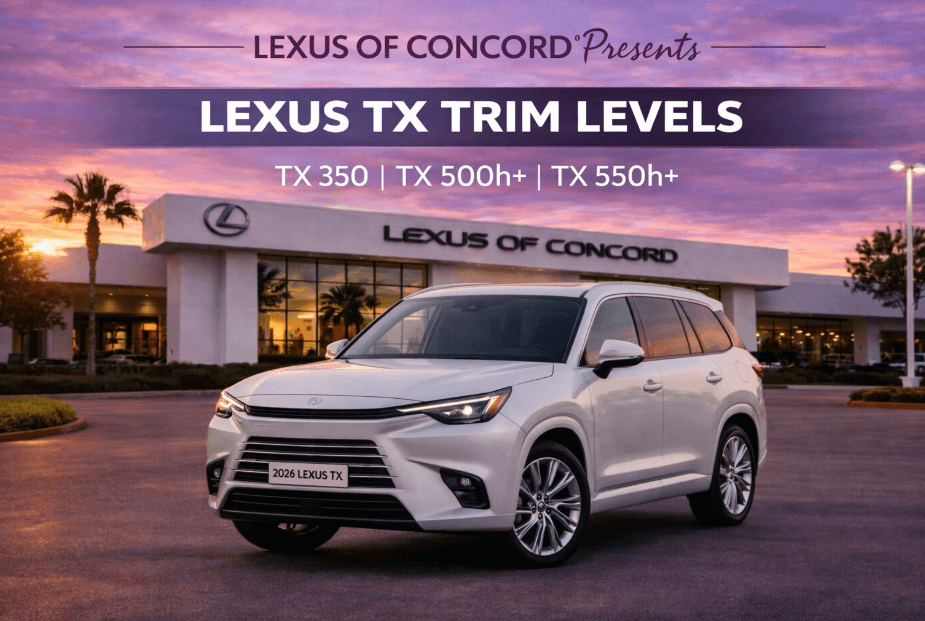 Lexus TX Trim Levels Explained | Lexus of Concord