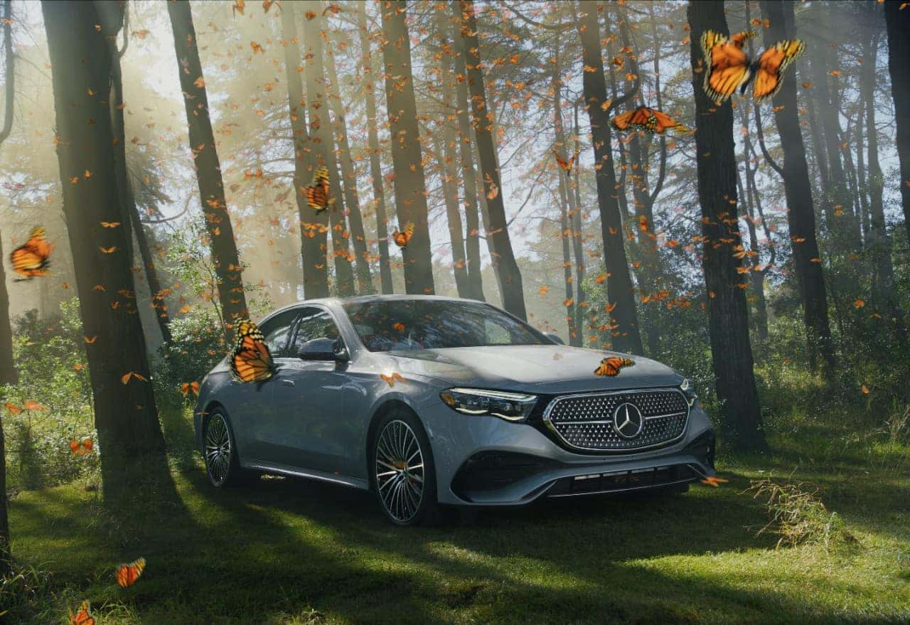 Mercedes-Benz Dream Days 2025: Your Dream Drive Awaits at Mercedes-Benz ...