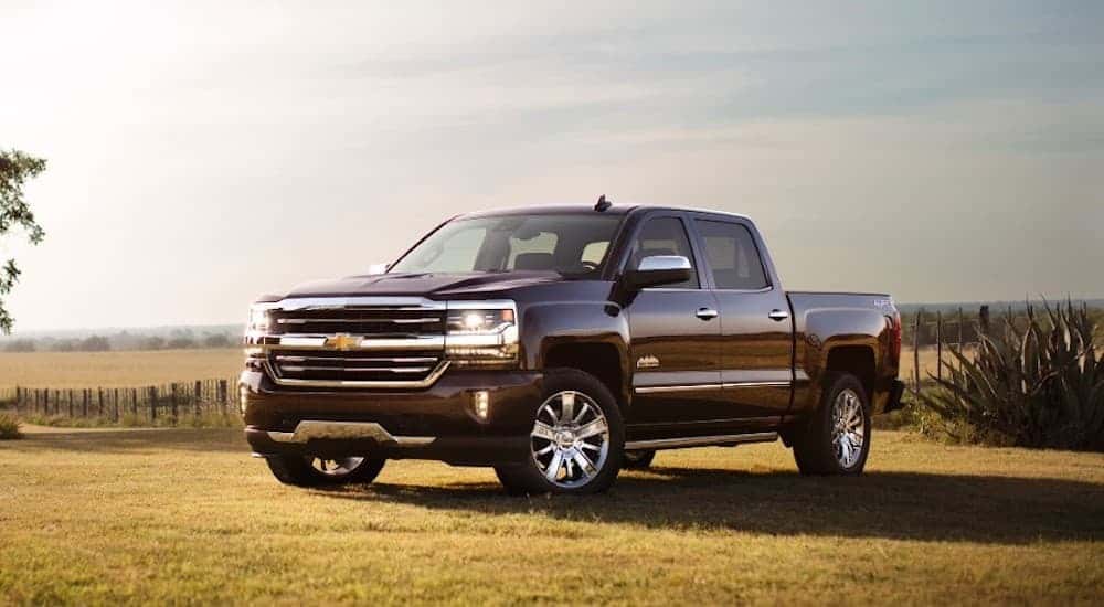 Top 5 Most Popular Chevy Cars In Texas