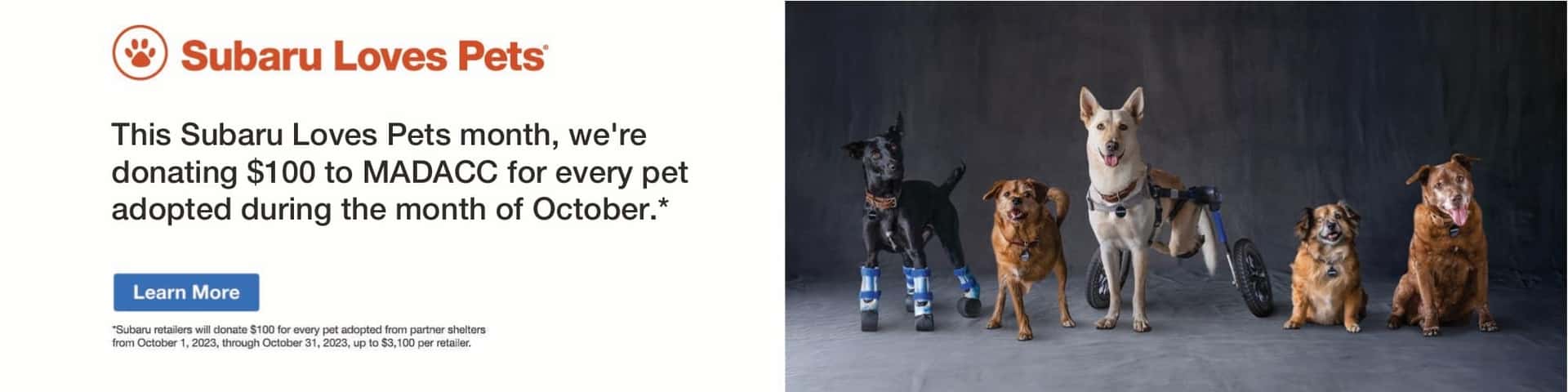 Milwaukee Subaru City | New and Used Dealer