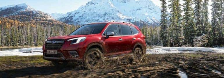 Three Subaru Forester Hidden Features - Subaru of Rochester