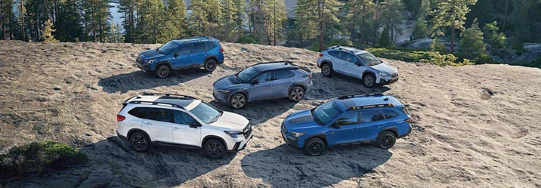 2WD, AWD, or 4WD: Which is Best for You?