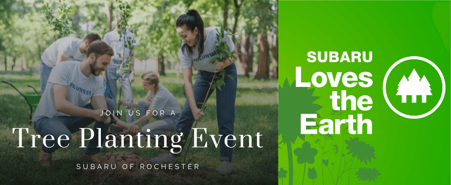 Tree Planting Event - Tree Trust | Subaru of Rochester