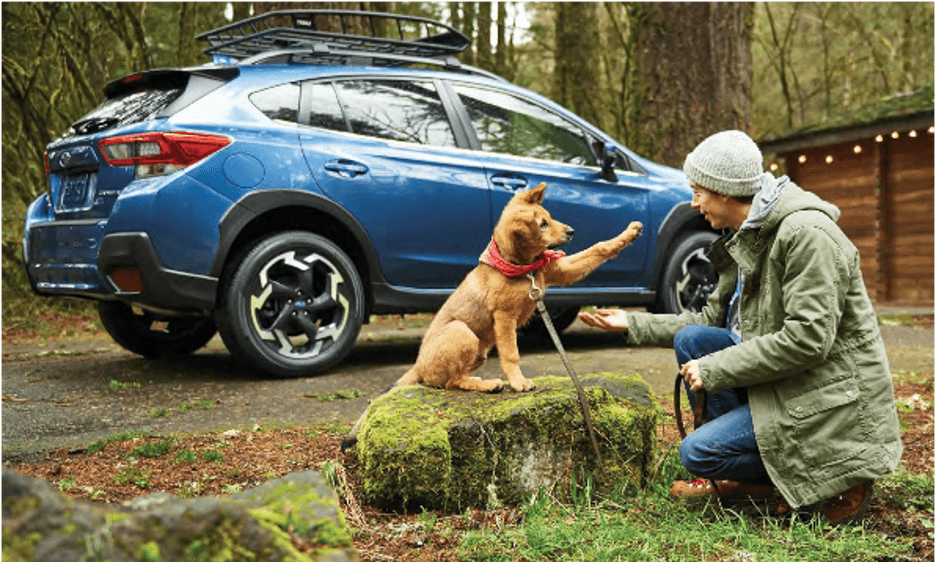 Subaru’s Trek With Your Pet - Subaru Loves Pets - Traveling with Pets Tips