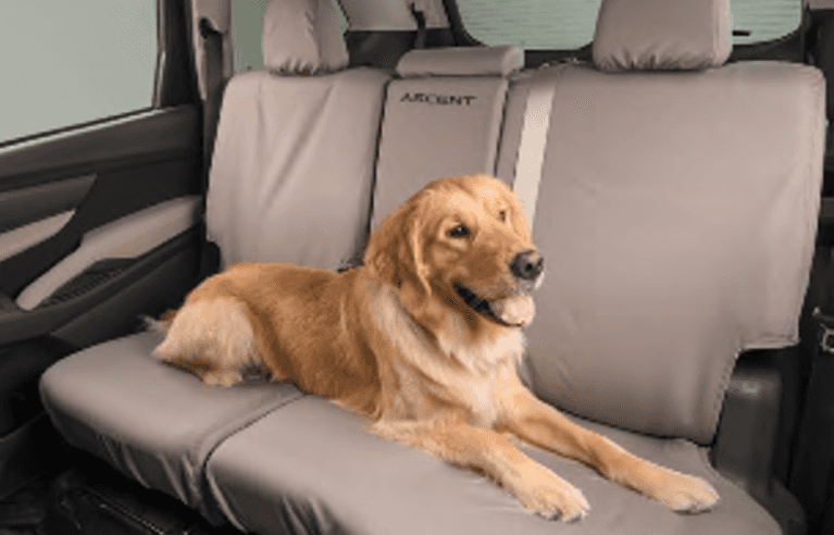 Subaru’s Trek With Your Pet - Subaru Loves Pets - Traveling with Pets Tips