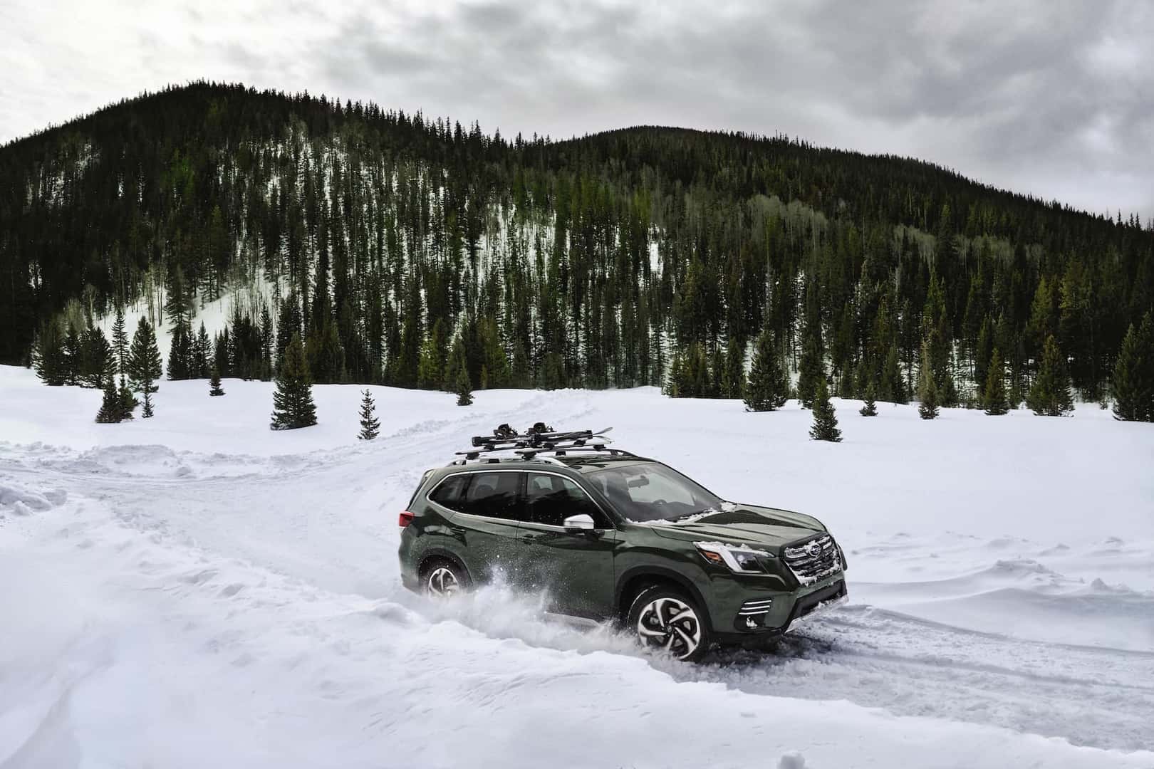 Subaru Forester FAQs: Why It’s So Popular