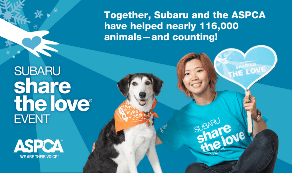 The Subaru Share the Love Event Breaks a Donation Record! - Volunteer
