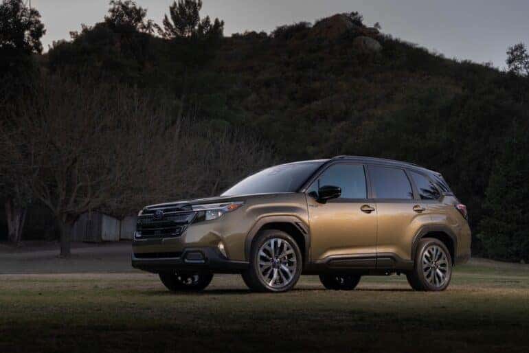 Forester vs Forester Hybrid: Key Differences